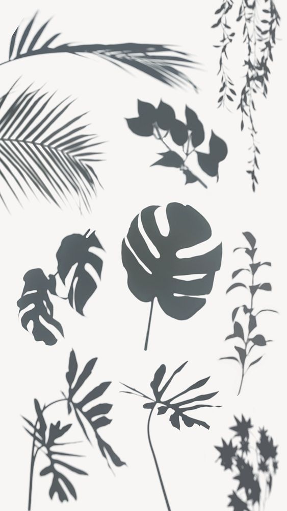 Shadow leaf transparent isolated element | Premium Editable Design ...