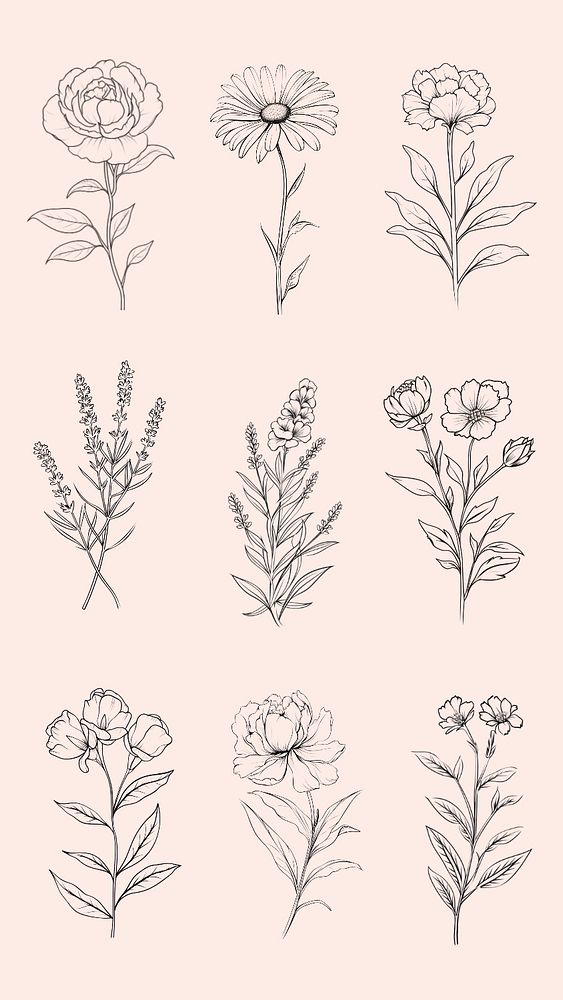 Line art flower isolated element | Premium Editable Design - rawpixel