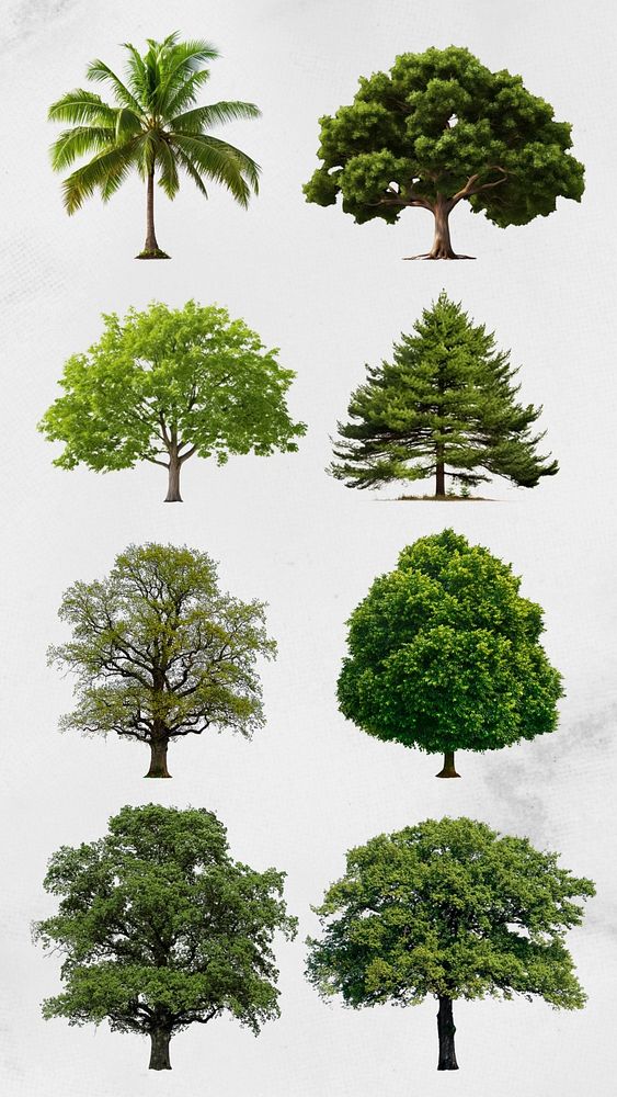 Green tree elements isolated element | Premium Editable Design - rawpixel