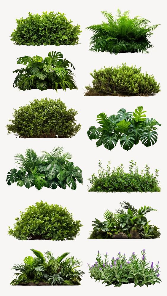 Editable green bush set | Premium Editable Design - rawpixel