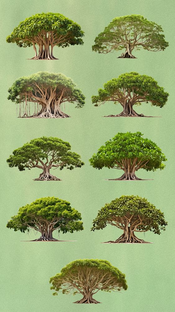 Banyan Designs | Free Editable Templates, Logos, Mockups & Remix ...