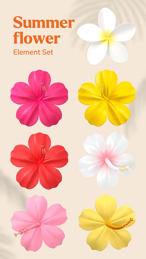 Summer flower set, editable design | Premium Editable Design - rawpixel