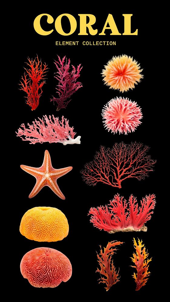 Sea coral set, editable design | Premium Editable Design - rawpixel