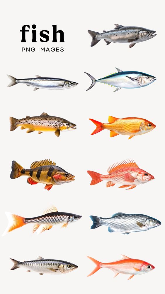 Edible fish animal set, editable | Premium Editable Design - rawpixel