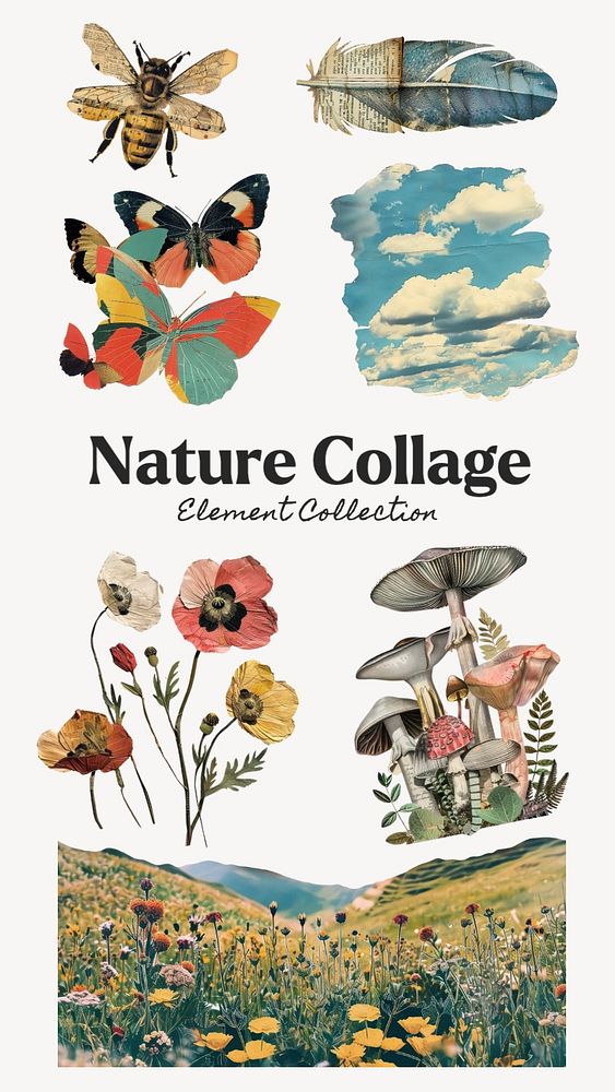 Nature craft collage set, editable | Premium Editable Design - rawpixel