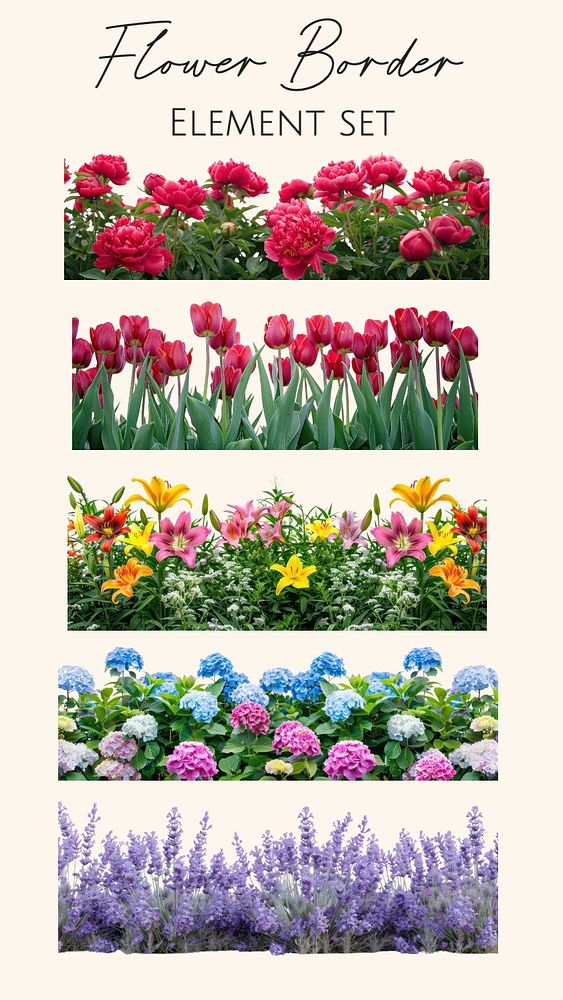Beautiful flower border set, editable | Premium Editable Design - rawpixel