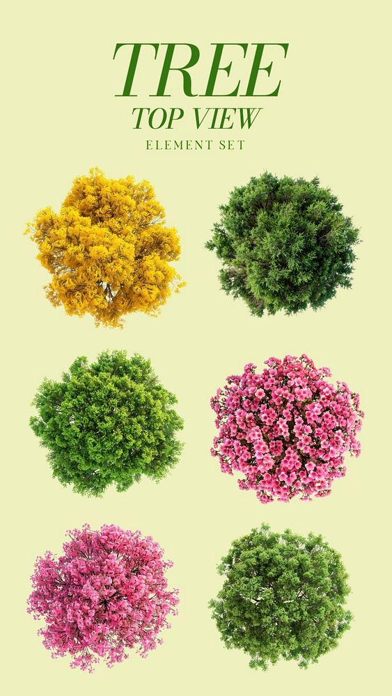 Tree top view set, editable | Premium Editable Design - rawpixel