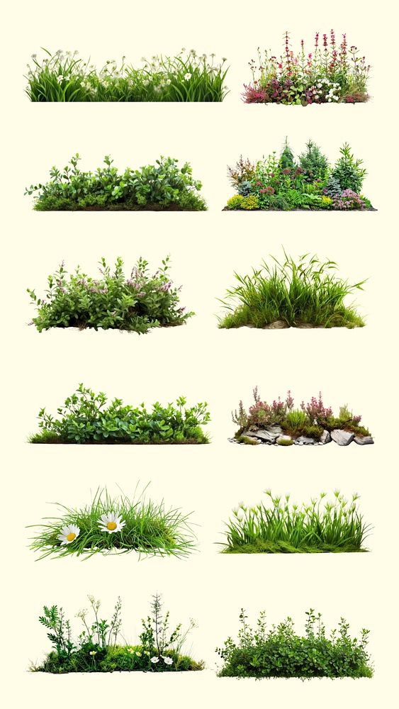 Spring grass set, editable design | Premium Editable Design - rawpixel