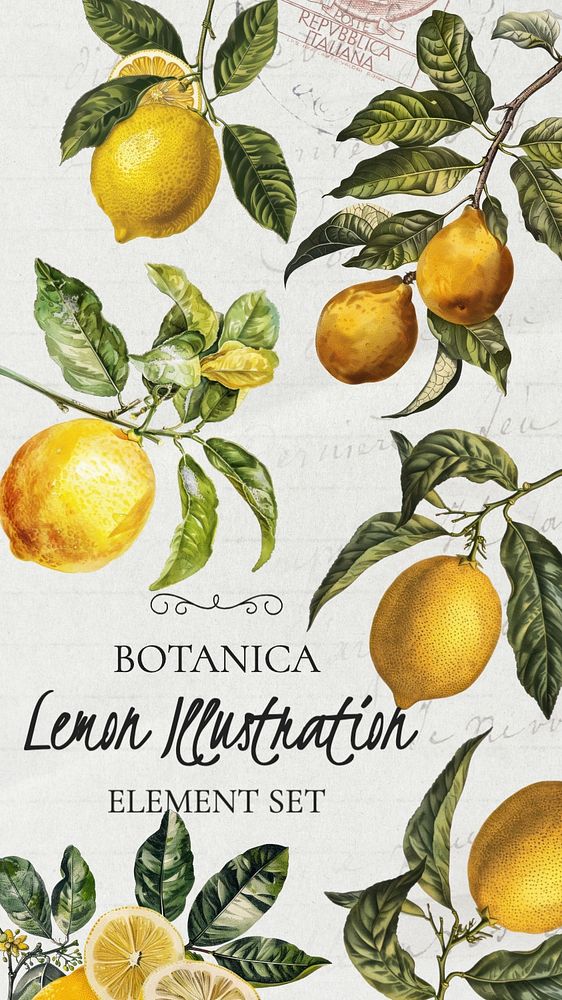 Editable vintage lemon illustration design | Premium Editable Design ...