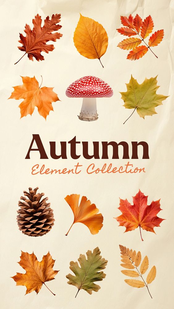 Editable Autumn leaf plant design | Premium Editable Design - rawpixel