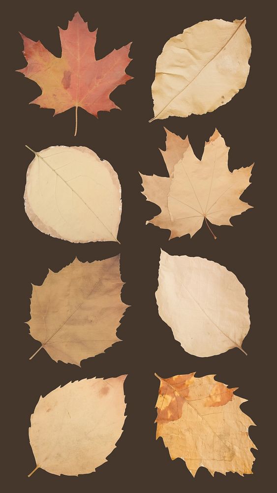 Editable Autumn leaf paper element | Premium Editable Design - rawpixel