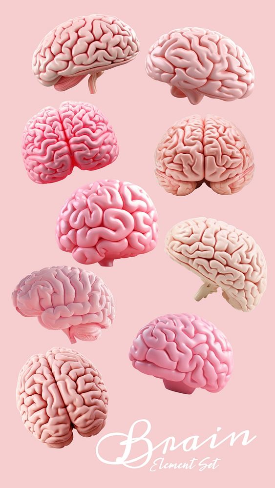 Editable 3d pink human brain | Premium Editable Design - rawpixel