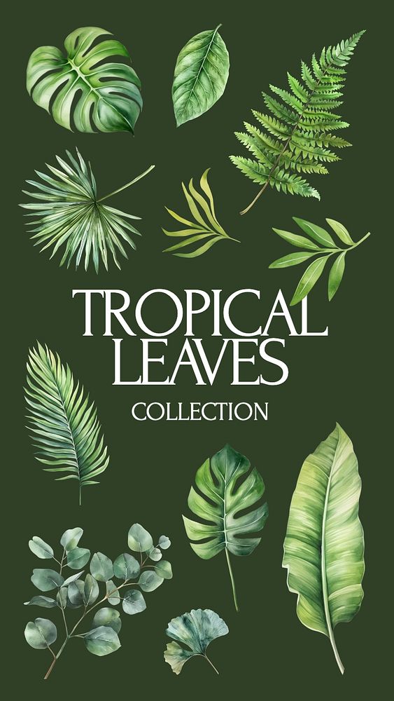 Editable tropical leaves design element | Premium Editable Design ...