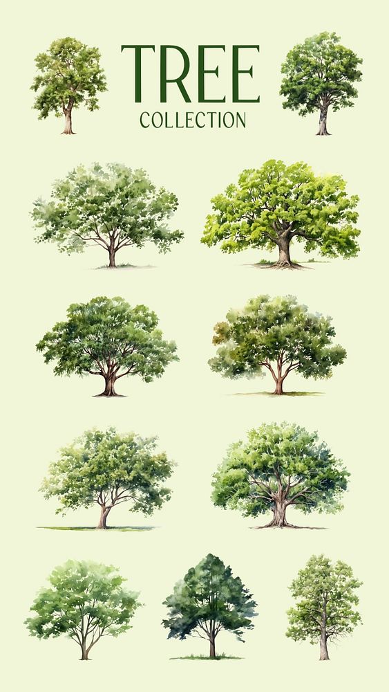 Editable tree design element set | Premium Editable Design - rawpixel