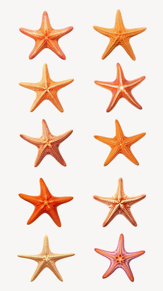 Editable starfish design element set | Premium Editable Design - rawpixel