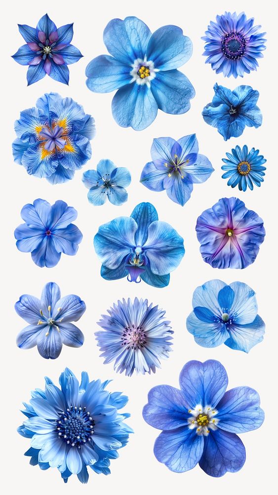 Editable blue flower design element | Premium Editable Design - rawpixel
