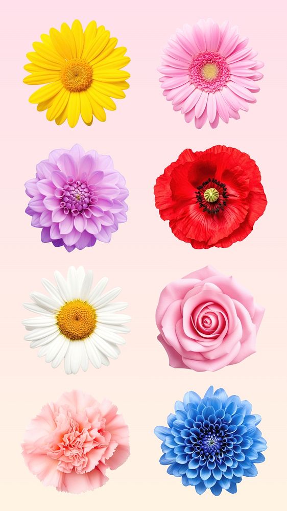 Editable realistic flower design element | Premium Editable Design ...