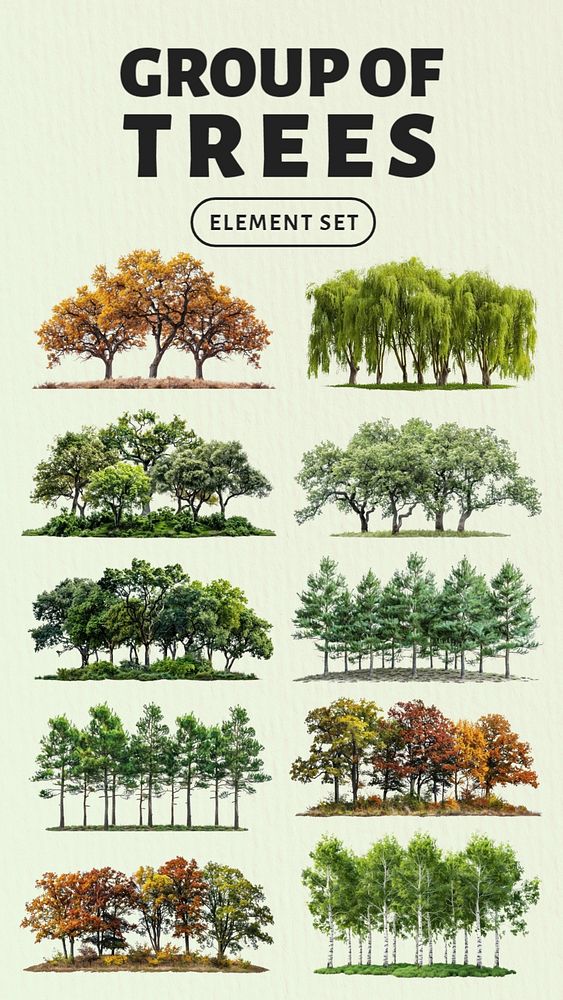 Editable group trees design element | Premium Editable Design - rawpixel