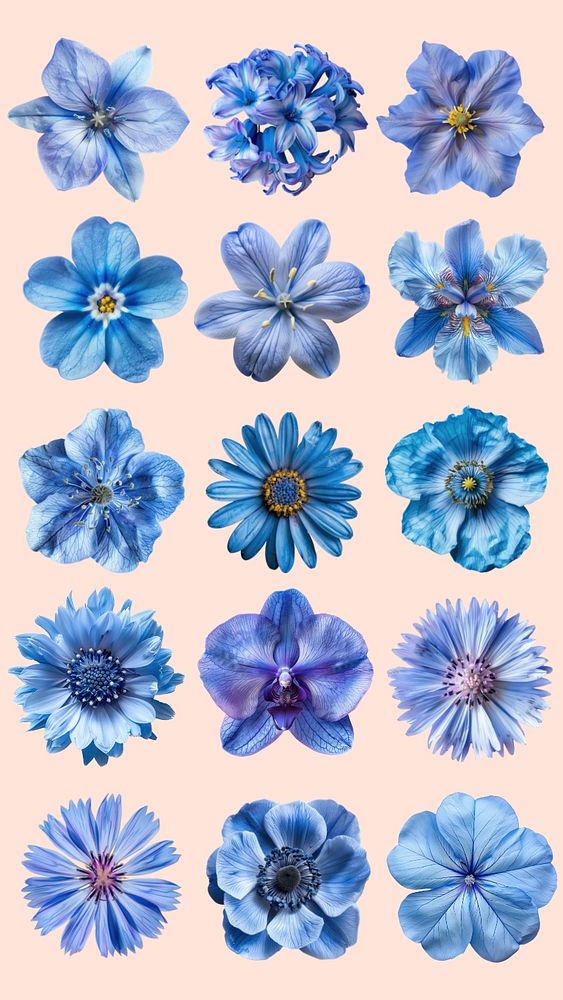 Editable blue flower element design | Premium Editable Design - rawpixel