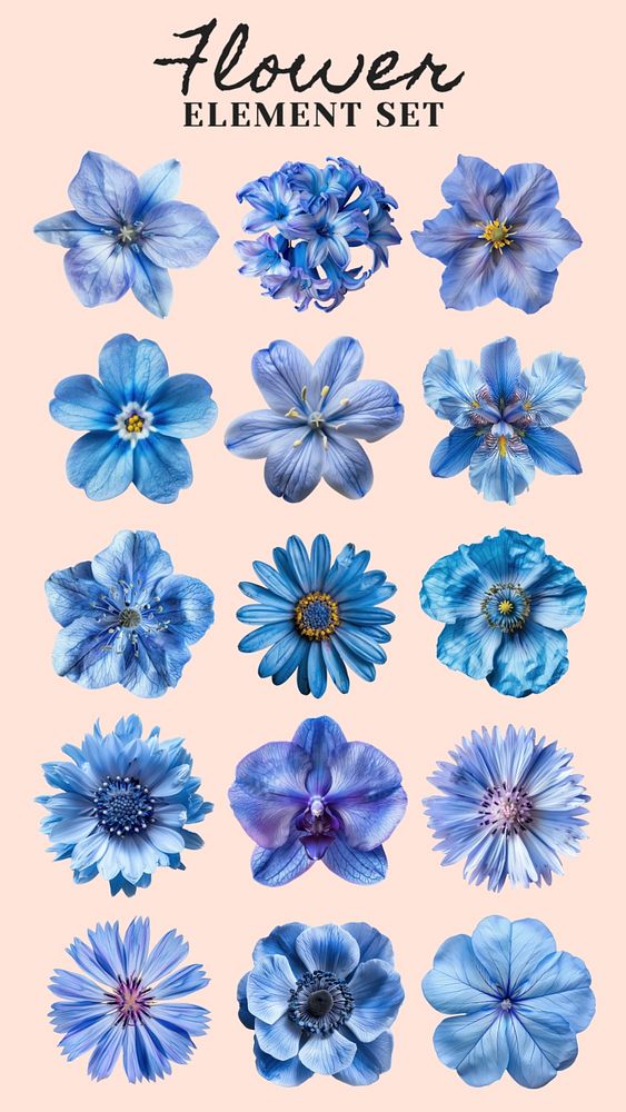 Editable blue flower element design | Premium Editable Design - rawpixel