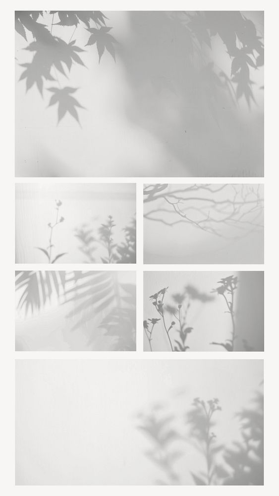Editable Minimalist botanical shadow collage | Premium Editable Design ...