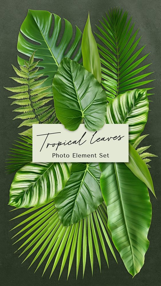 Editable tropical green leaf design | Premium Editable Design - rawpixel
