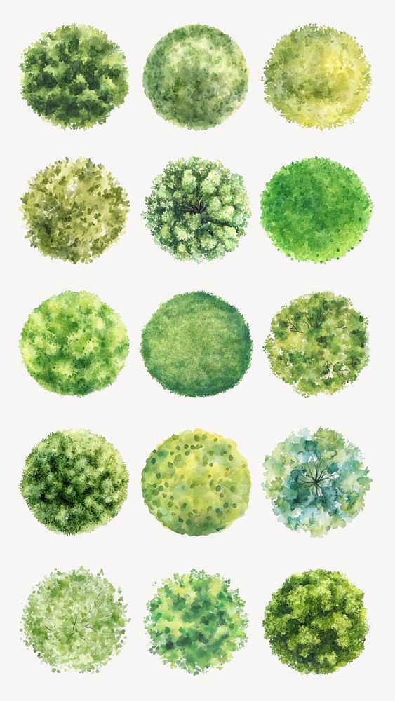 Editable tree top view design | Premium Editable Design - rawpixel