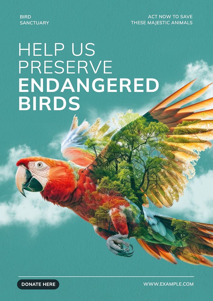 Bird sanctuary poster template, editable | Free Editable Template ...