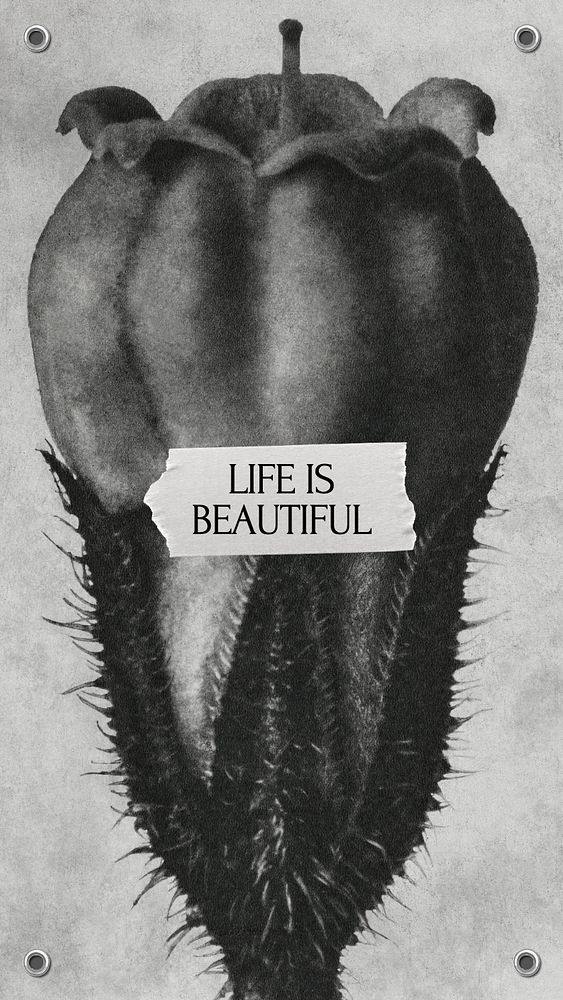 Free Wording Customizable Template Editable Transparent Templates ...