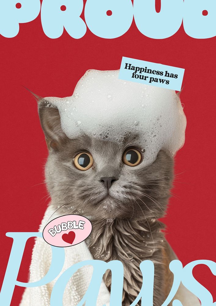 Funny Cat Mammal Images | Download Free Design Resources on rawpixel