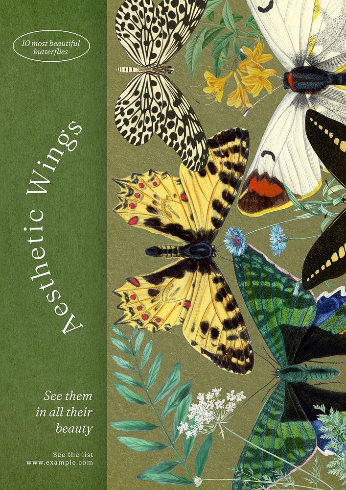 Butterfly poster template | Free Photo - rawpixel