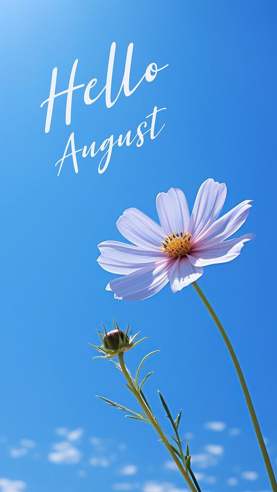 Hello August Blue Images | Free Photos, PNG Stickers, Wallpapers ...