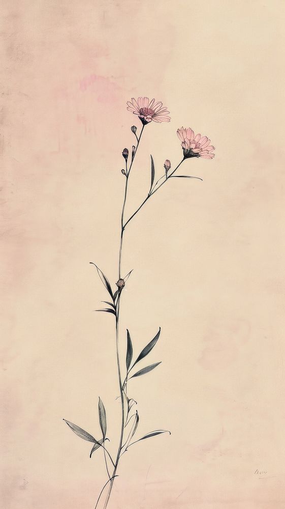 Wallpaper wildflower drawing sketch illustrated. | Free Photo ...