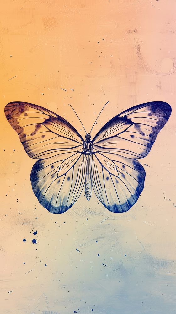 Wallpaper butterfly drawing sketch invertebrate. | Free Photo ...