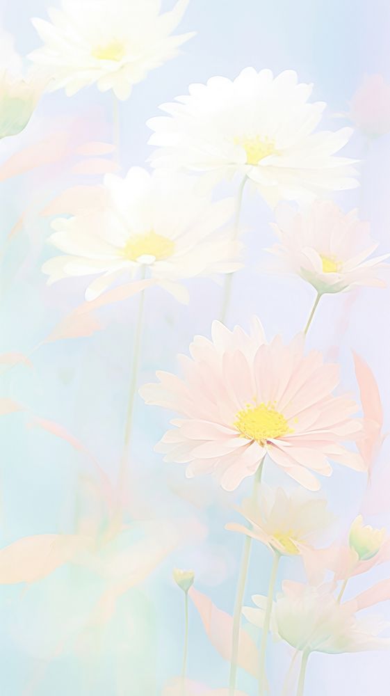 Blurred gradient Daisy daisy asteraceae | Free Photo Illustration ...
