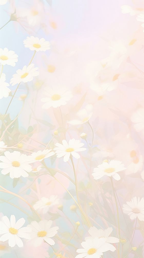 Blurred gradient Daisy daisy asteraceae | Free Photo Illustration ...