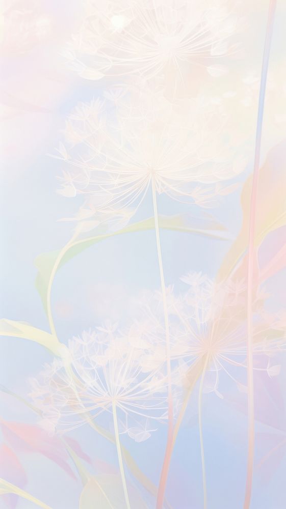 Blurred gradient Dandelion dandelion clothing | Free Photo Illustration ...
