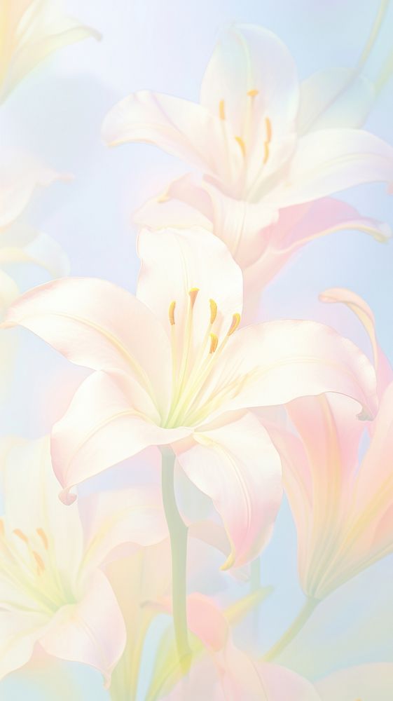Blurred gradient Lily lily blossom | Free Photo Illustration - rawpixel