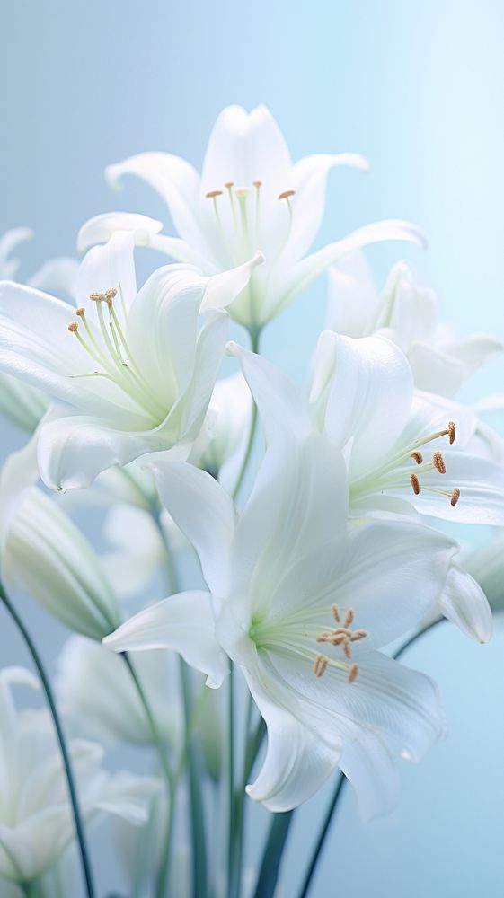 8k Wallpaper Images | Free Photos, PNG Stickers, Wallpapers ...