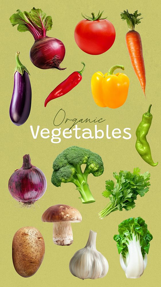 Various organic vegetable element set | Free Photo - rawpixel