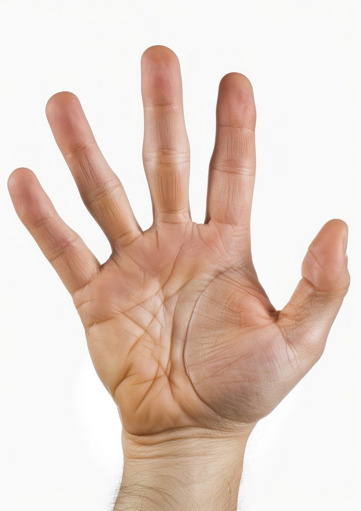 Open hand palm lines visible | Free Photo - rawpixel