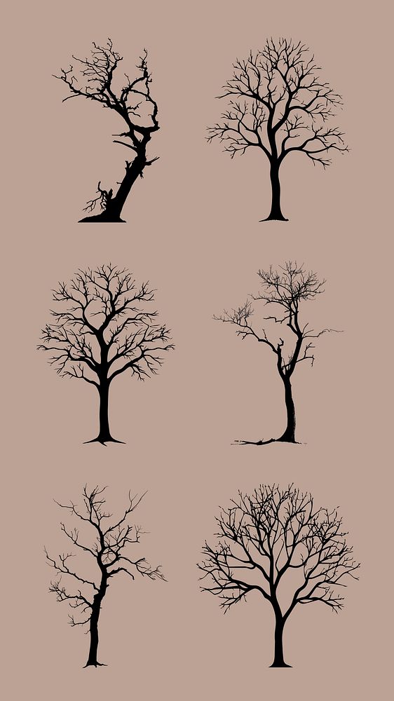 Bare tree silhouette design element | Free Photo - rawpixel