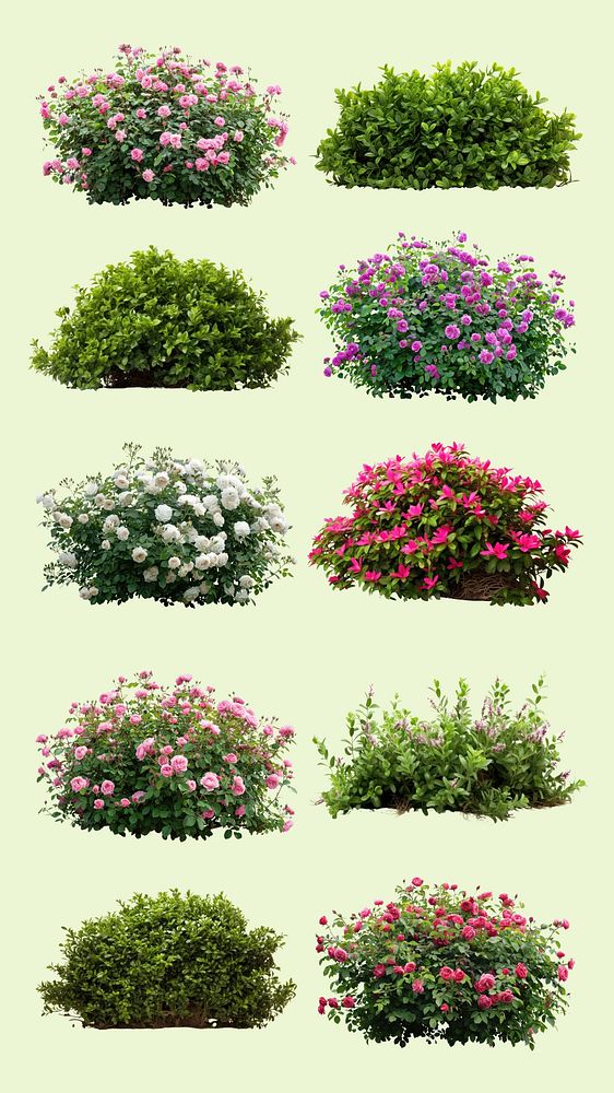 Garden bush element set | Free Photo - rawpixel