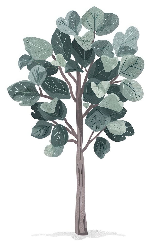 Balsa Tree tree art illustrated | Free Photo Illustration - rawpixel