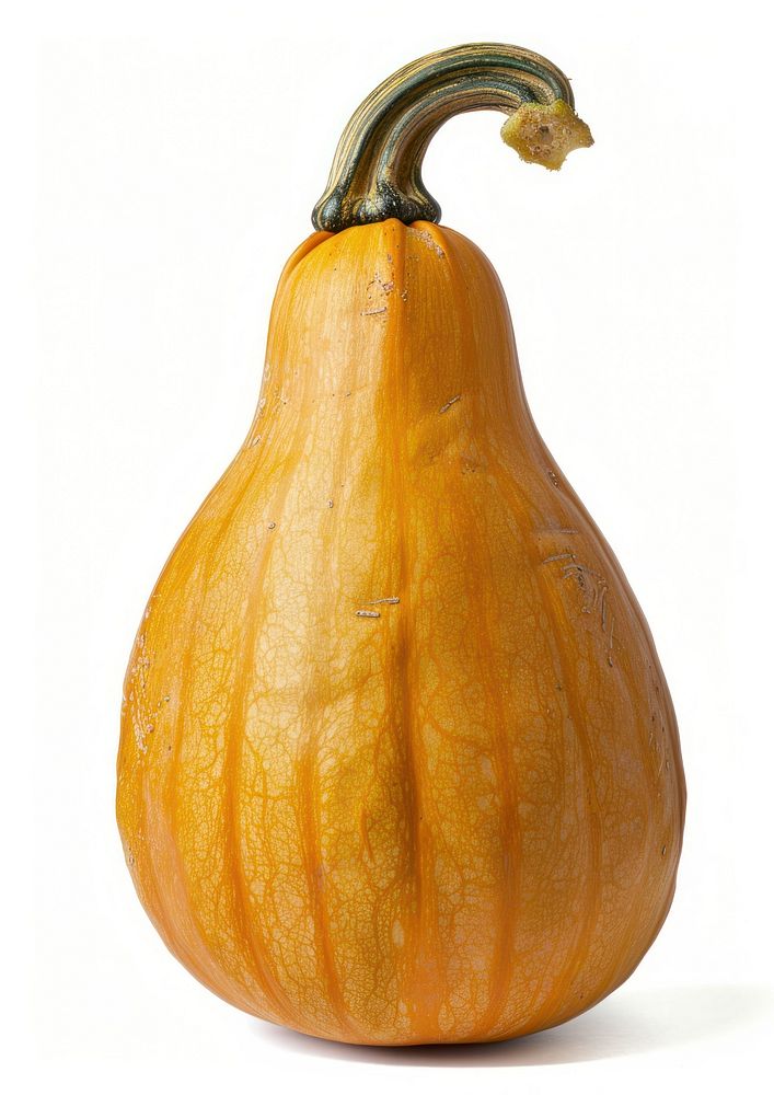 Orange gourd with curved stem | Free Photo - rawpixel