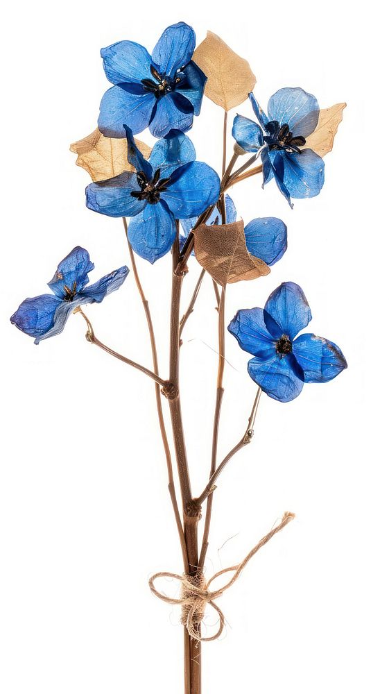 Artificial blue flowers with stems | Free Photo - rawpixel