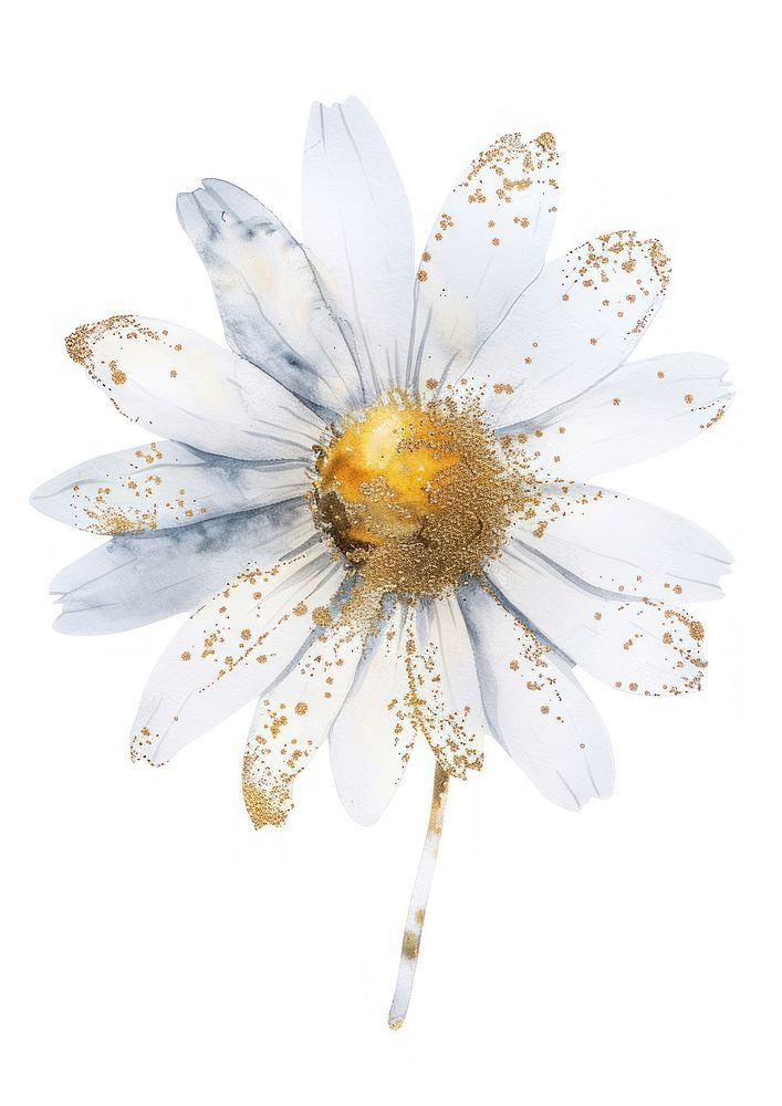 Elegant watercolor daisy illustration | Free Photo Illustration - rawpixel