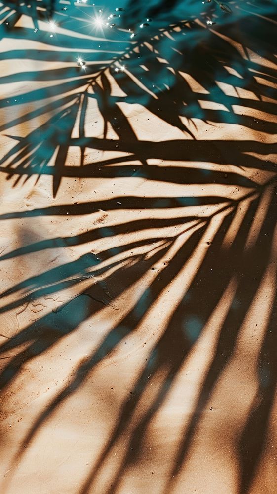 Tropical shadows on sandy beach | Free Photo - rawpixel