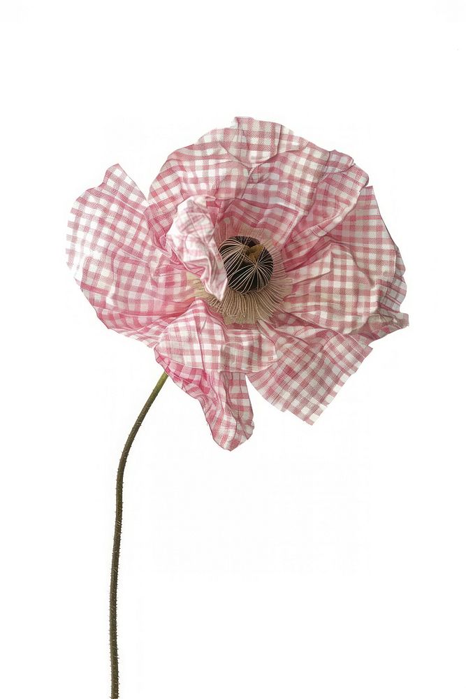 Pink checkered flower illustration | Free Photo Illustration - rawpixel