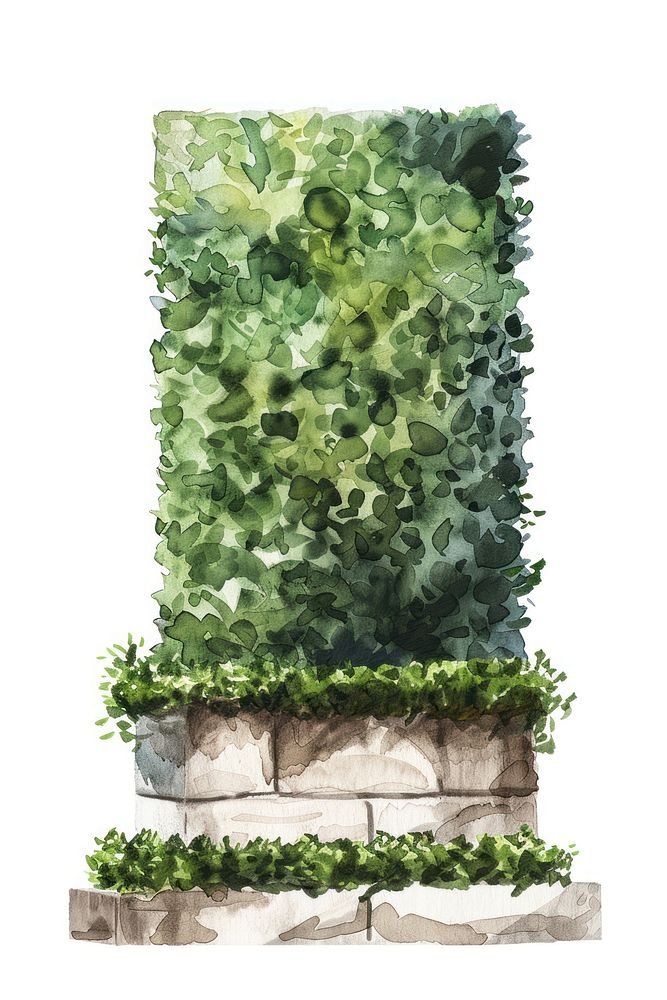 Lush green garden hedge illustration | Free Photo Illustration - rawpixel